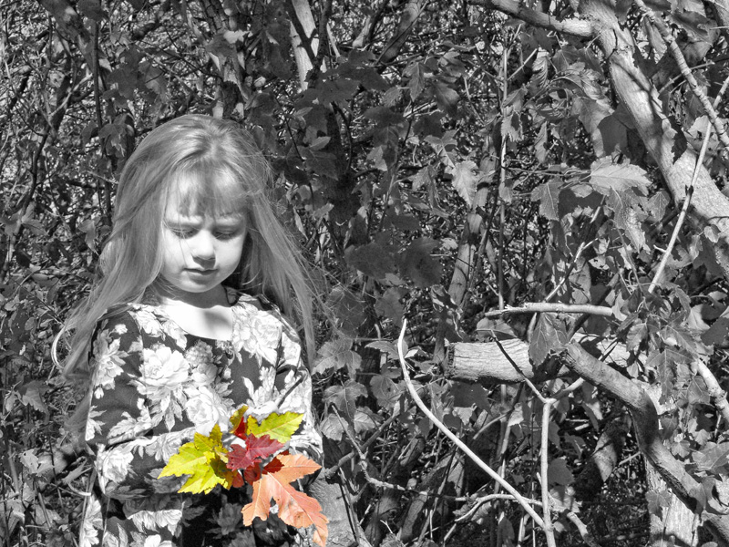 Mark Wilmes Photography